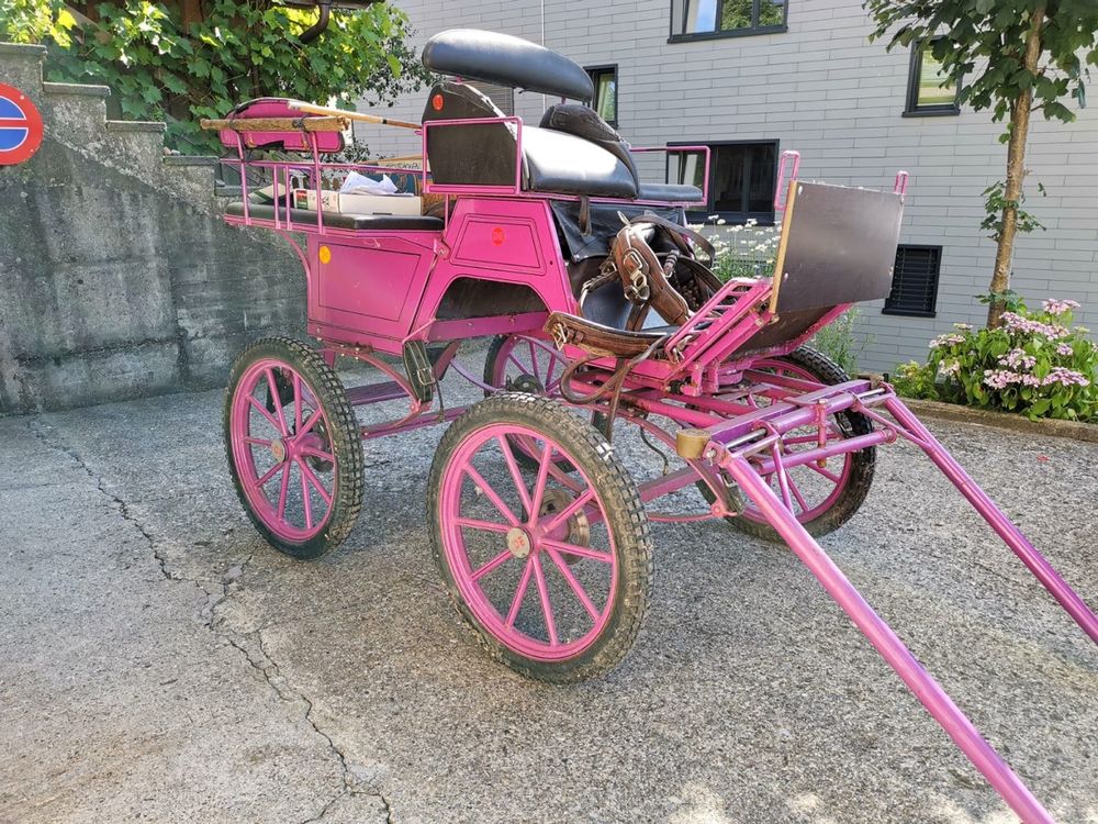 Pferdekutsche in Pink und mit Scheibenbremsen (Gebraucht) in Baar für ...