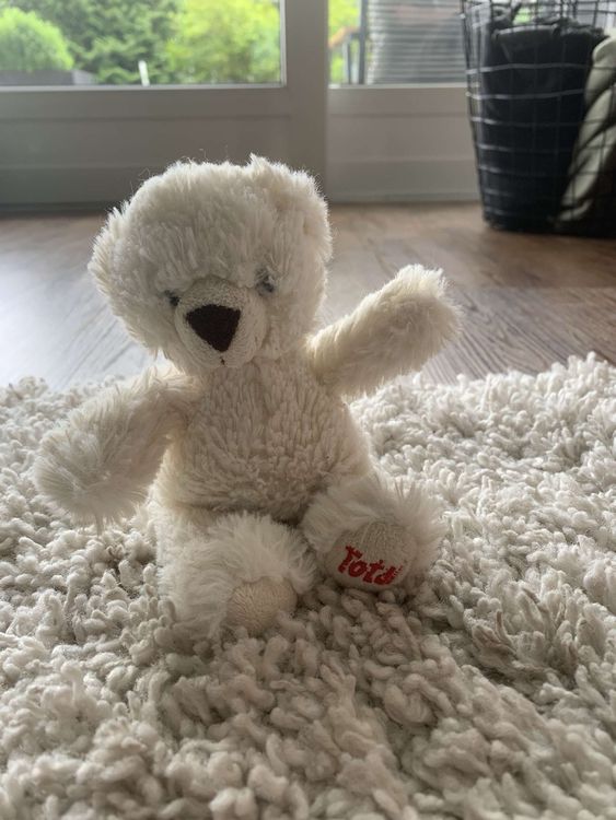 Süesse, flauschiger Tedi-Bär sucht neus zuesiges Heim!🐻🧸 (Gebraucht) in ...