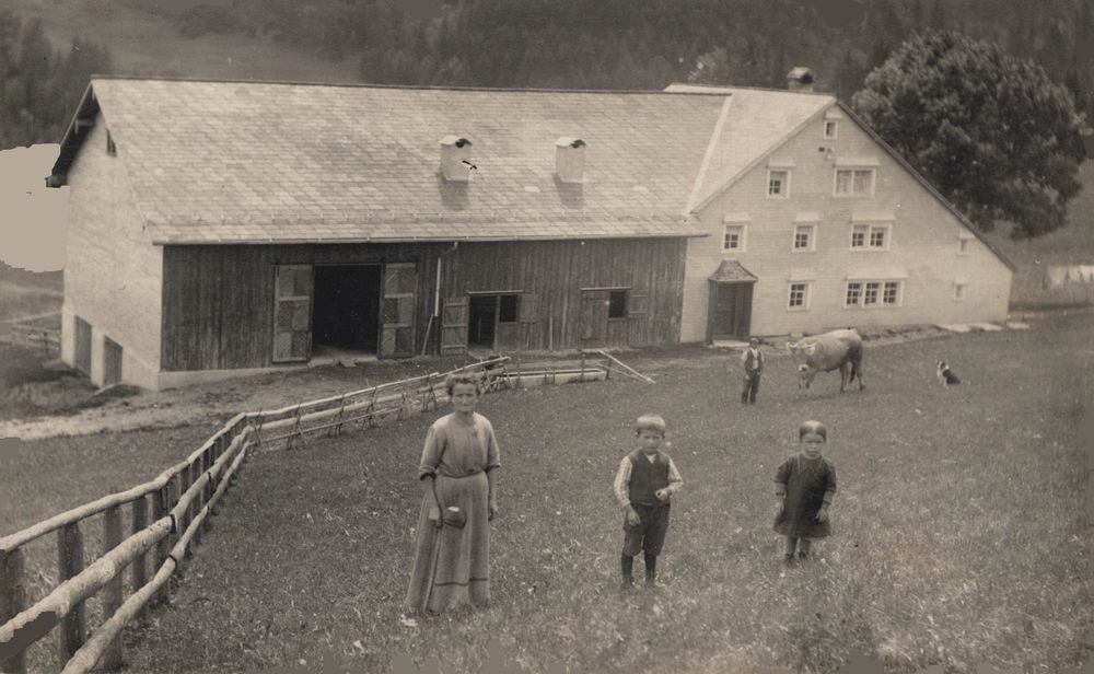 Bauernhaus mit Scheune, Bauernfamilie, Bauer mit Kuh (Gebraucht) in Bronschhofen für CHF 61 ...