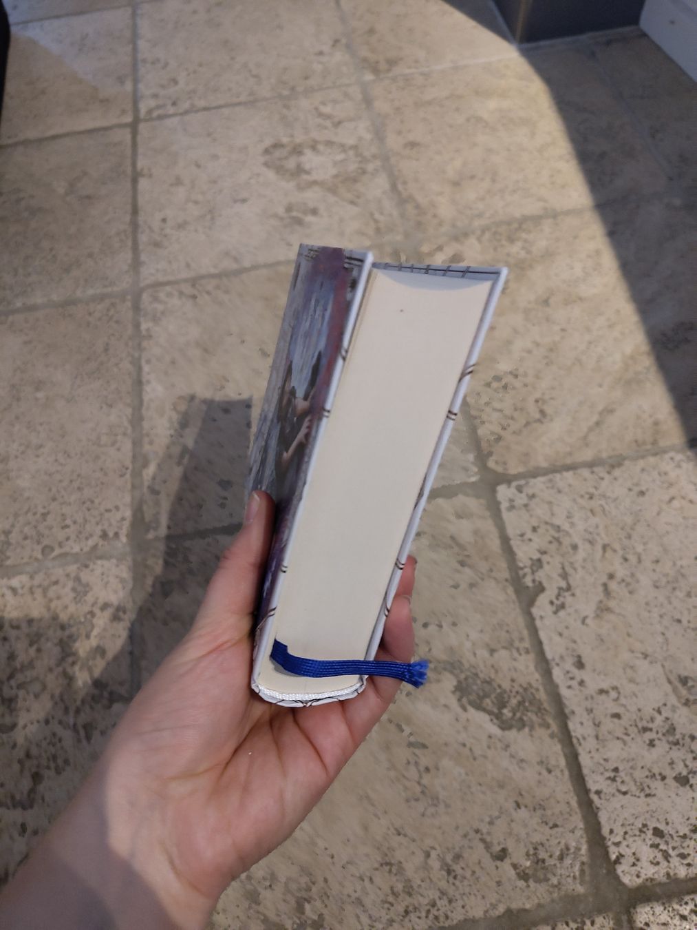 Jugendbuch "Sepia und das Erwachen der Tintenmagie" (Gebraucht) in ...