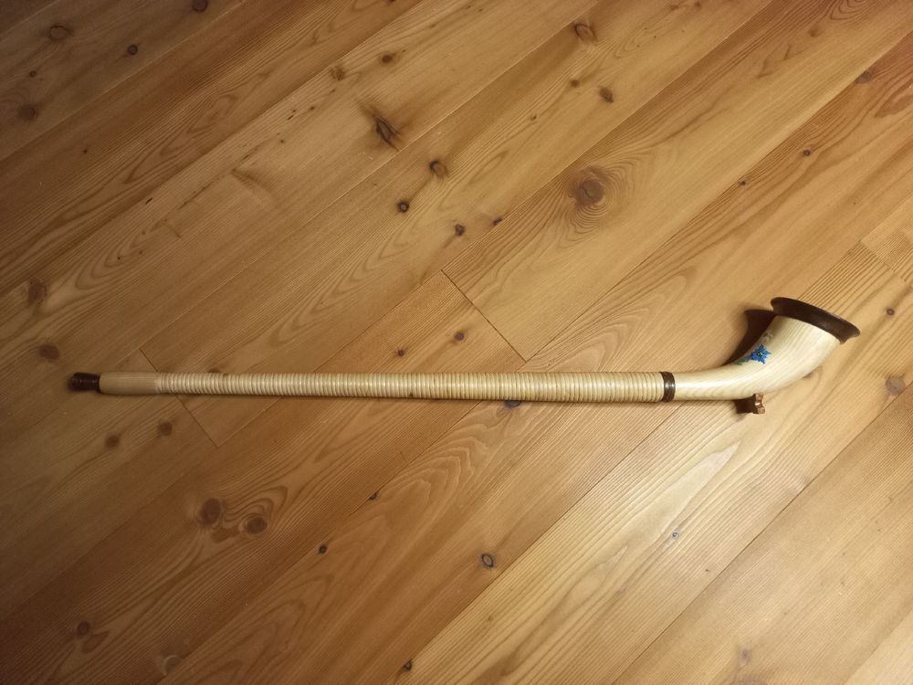 Alphorn 100cm | Kaufen auf Ricardo