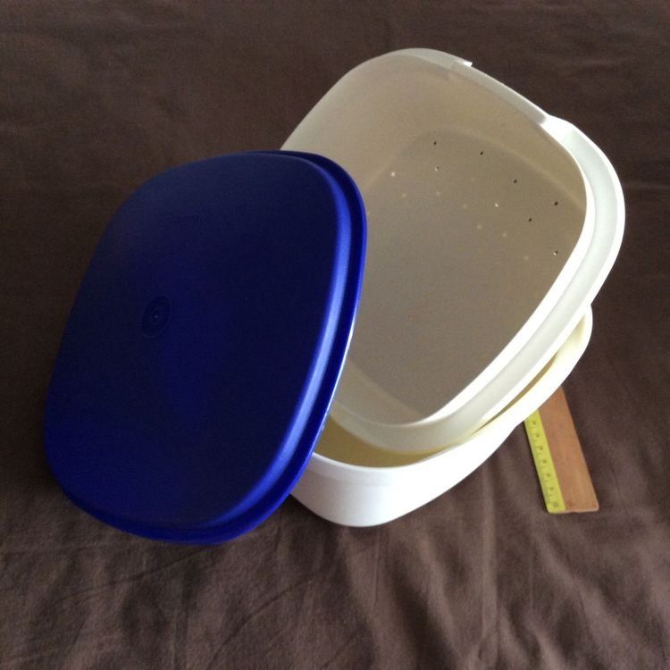 Multiserver Tupperware | Kaufen auf Ricardo