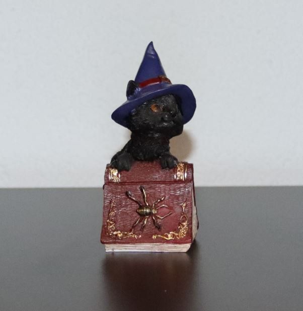 Katze Pocus (Neu und originalverpackt) in Menziken für CHF 15 – mit Lieferung auf Ricardo kaufen