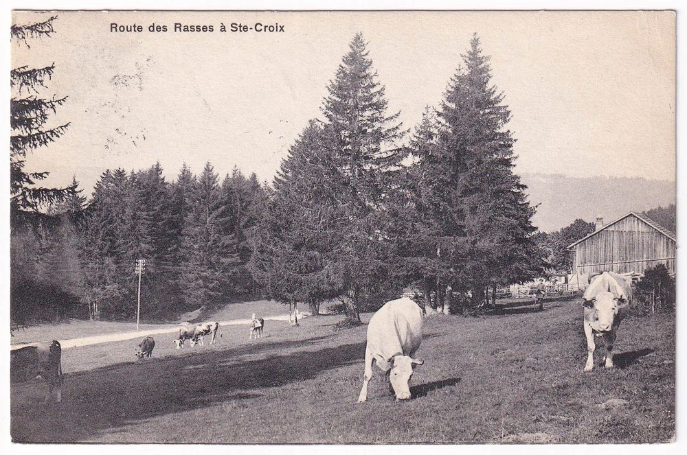 Route des Rasses à Ste-Croix 1909 | Kaufen auf Ricardo Route des Rasses à Ste-Croix 1909 | Kaufen auf Ricardo