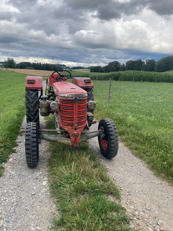 Hürlimann Traktor D115 (Gebraucht) in St.Antoni für CHF 2940 – nur ...