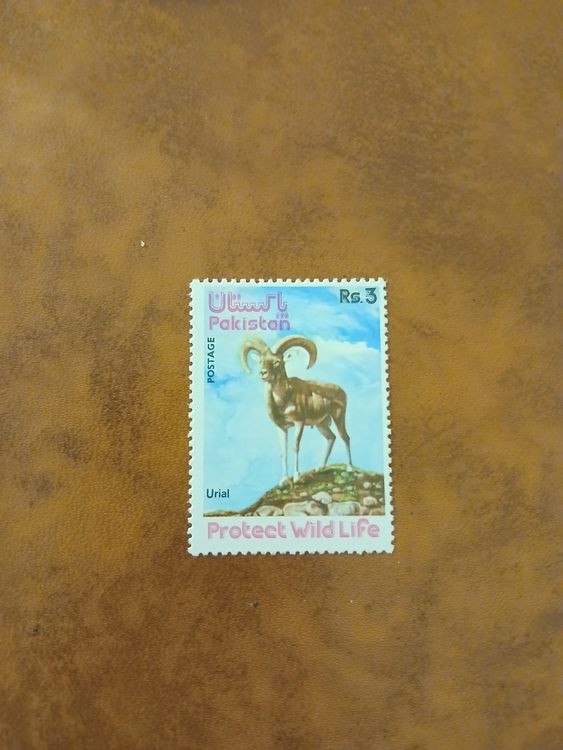 Timbre rare du Pakistan, Urial "Protect Wild Life" ! (Neuf (Voir ...