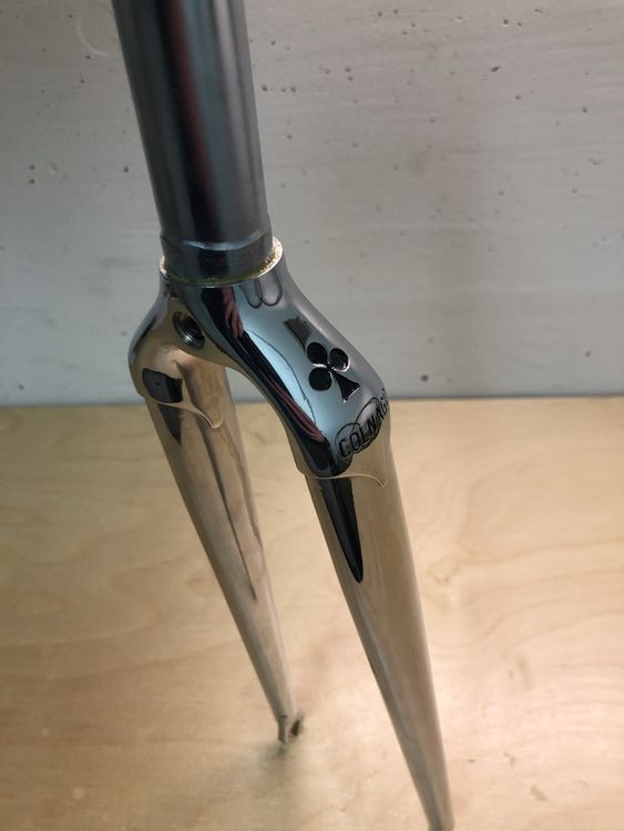 Colnago Precisa Fork (Neu (gemäss Beschreibung)) in Porza für CHF 300 ...
