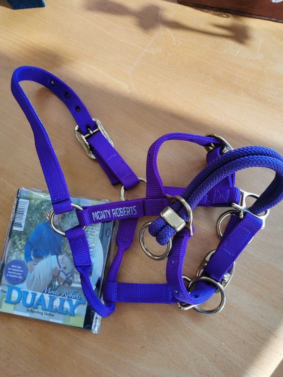 Dually Halfter violett von Monty Roberts (Neu (gemäss Beschreibung)) in ...