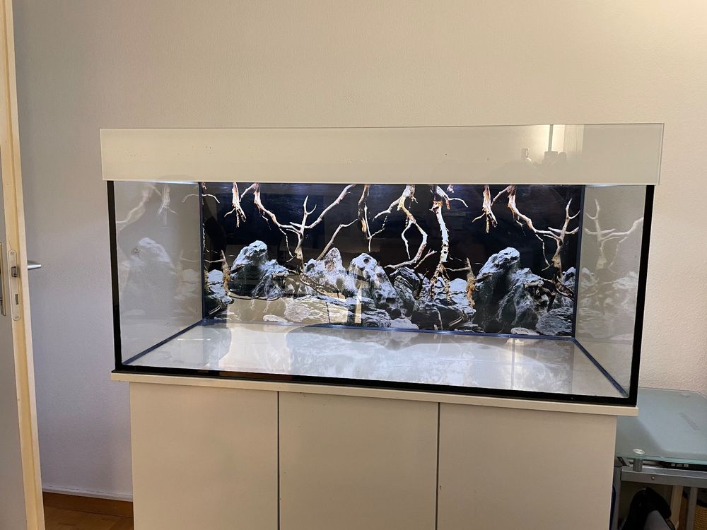 Fabelhafte Aquarium Gebraucht Kaufen Bild