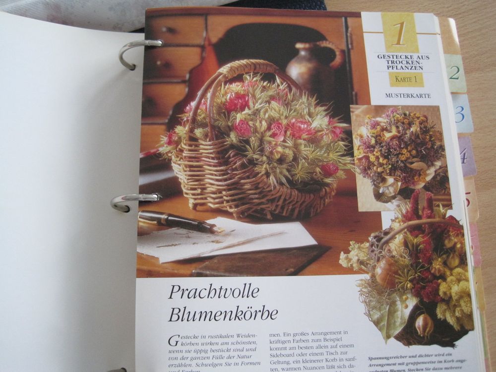 Ordner - Kreatives Gestalten vom Meister- Verlag (Neu (gemäss ...