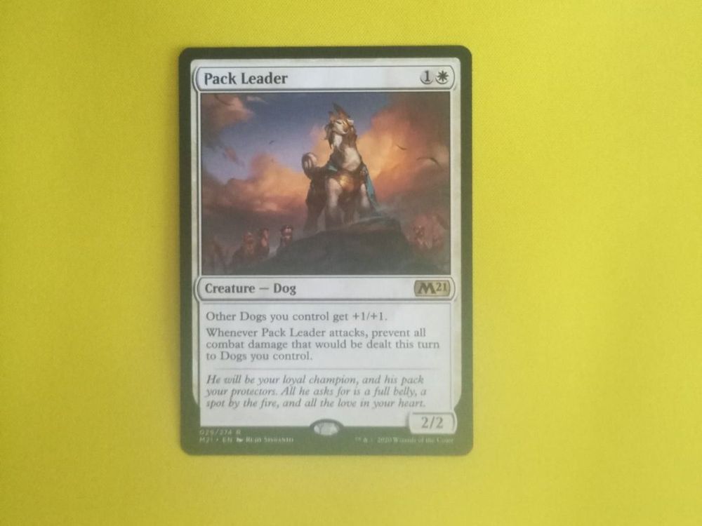 MTG Pack Leader | Kaufen auf Ricardo