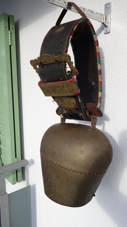 TREICHEL - Riemen Appenzell (Gebraucht) in Ibach für CHF 90 – mit ...