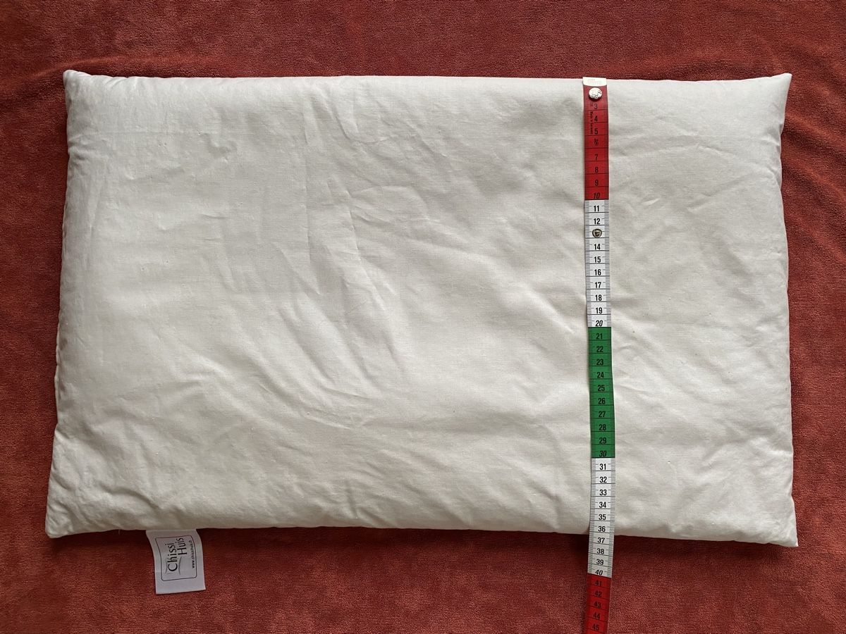 Dinkel Hirse Neuwertig Chissi Huis Kissen, 37x60, au Versan (Neu ...