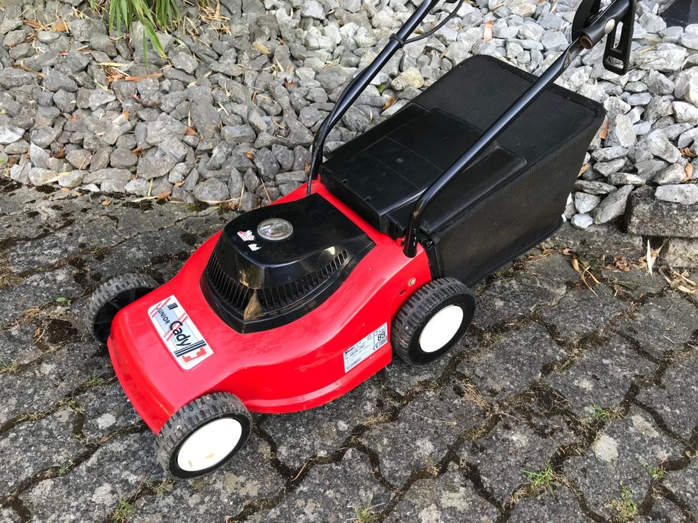 TONDEUSE ÉLECTRIQUE 33CM JUNIOR CADY (Gebraucht) in Payerne für CHF 16 – nur Abholung auf ...