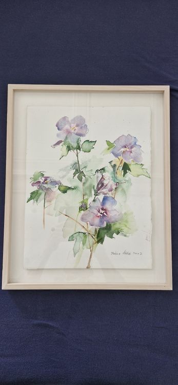 Aquarelle de Zéline kobler 2007 (Gebraucht) in Le Locle für CHF 10 – nur Abholung auf Ricardo kaufen