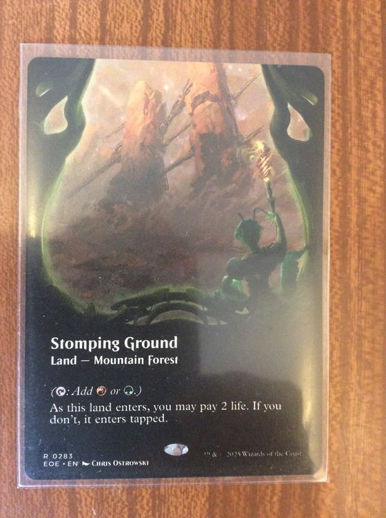 MTG - Stomping Ground (0283 - Borderless) x1 (Neu (gemäss Beschreibung ...