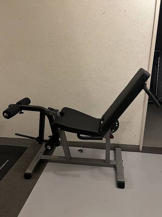 Body Solid Beinstrecker (sitzend) /-beuger (liegend) GLCE365 (Gebraucht ...