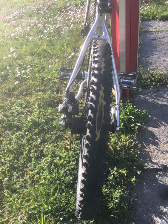 Early Rider Belter 20 Zoll, Trail 3, Disc-Brake, gebraucht (Gebraucht ...