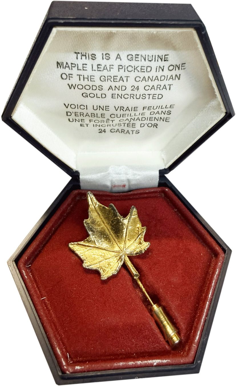 Feuille d'érable véritable plaquée or 24 carats rare 🍁 (Neu und ...