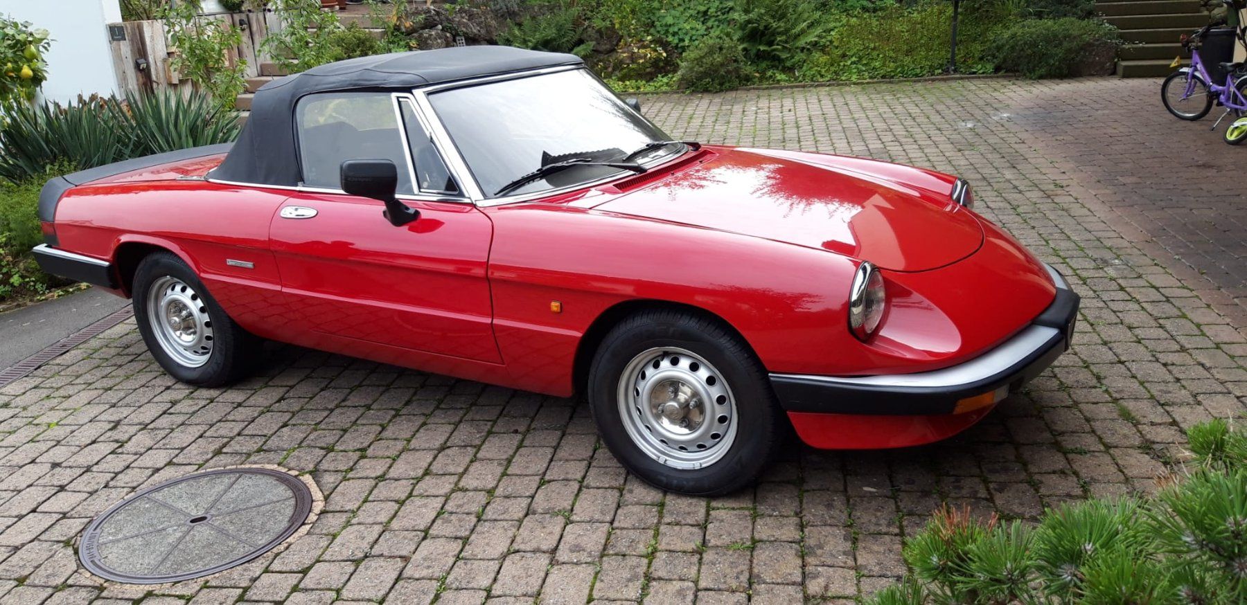 Alfa Romeo Spider, rot, Cabriolet, Oldtimer - MFK 2024! (Gebraucht) in ...