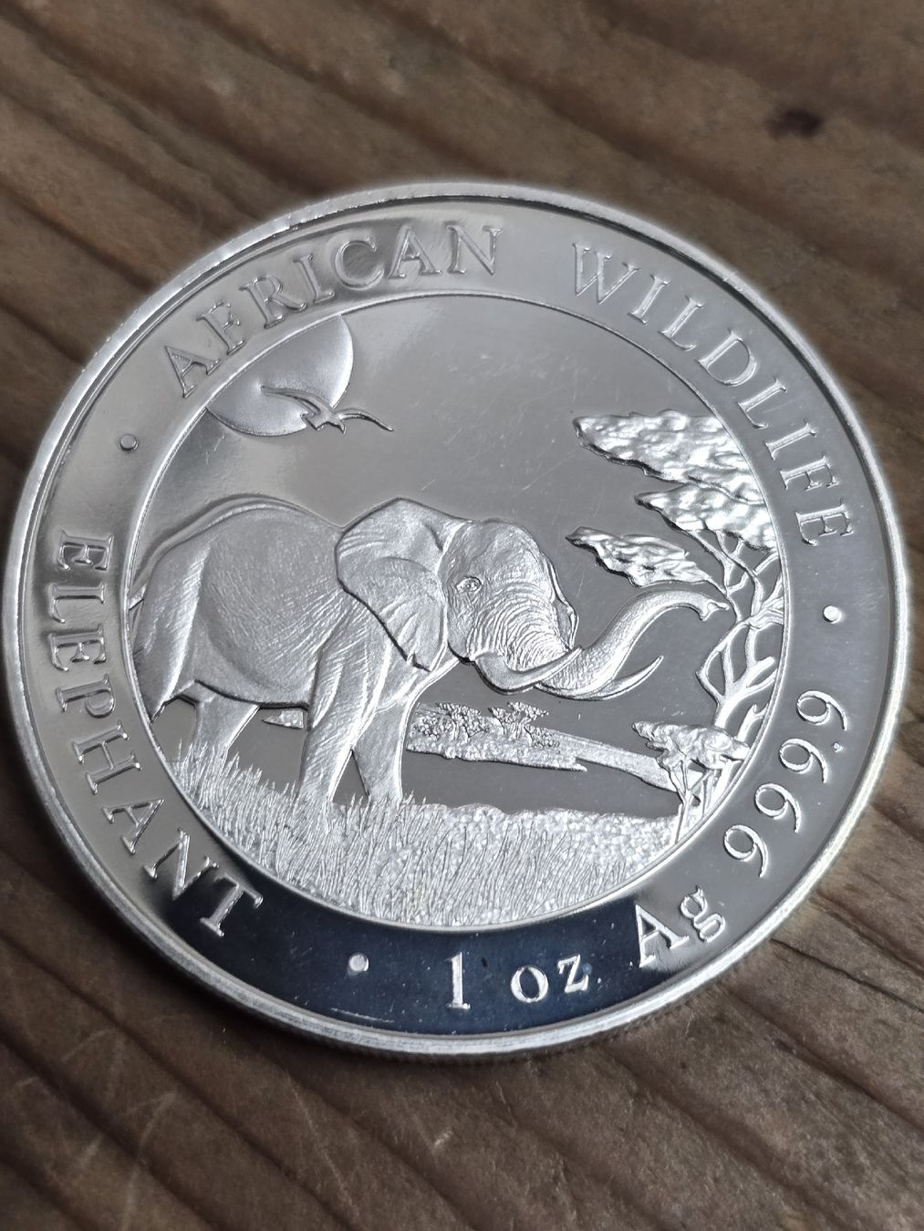Somalia Elefant 2019, 1 Unze Silbermünze, Top Zustand! (Neu und ...