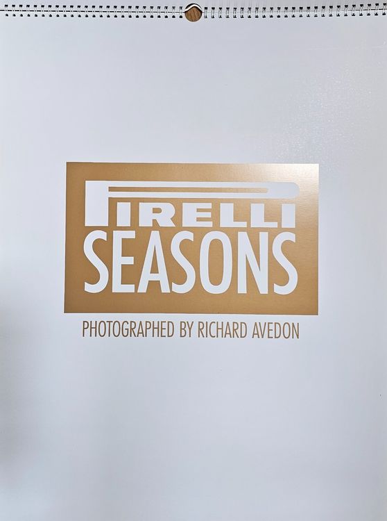 Pirelli Kalender 1995 Richard Avedon (Gebraucht) in Affoltern am Albis ...