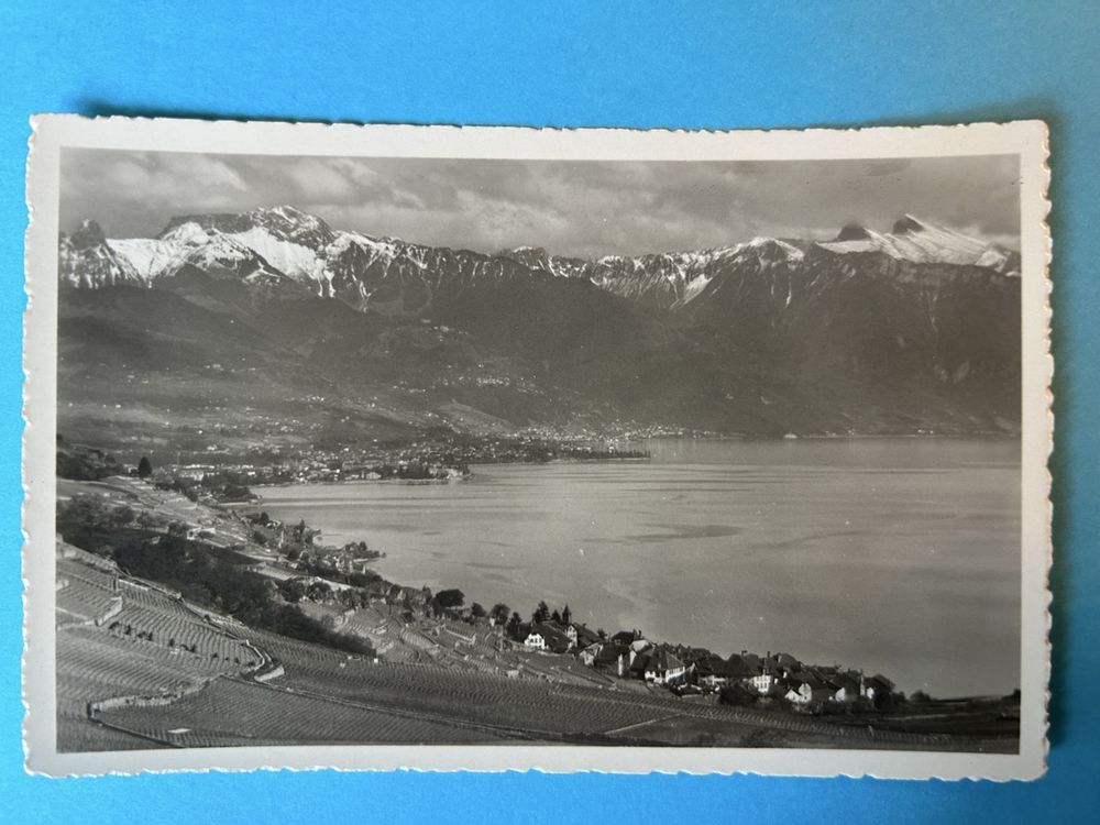 Rivaz AK (Gebraucht) in Fanas für CHF 6.8 – mit Lieferung auf Ricardo ...