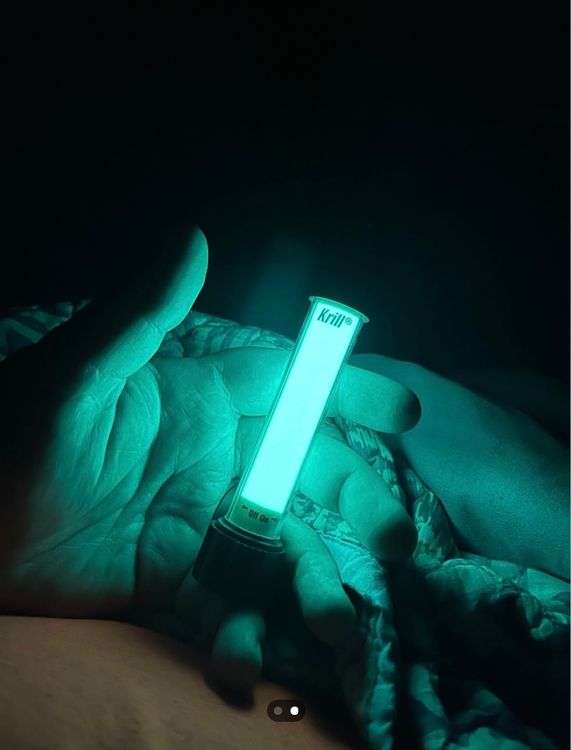 KRILL LIGHT - Glow Stick AA vert 360° degrés (Neu (gemäss Beschreibung ...