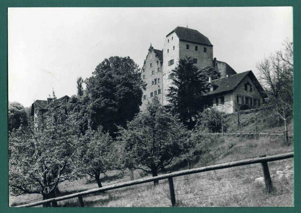 Schloss Wildegg, Bergfried und Palas (Gebraucht) in Sargans für CHF 1 – mit Lieferung auf ...