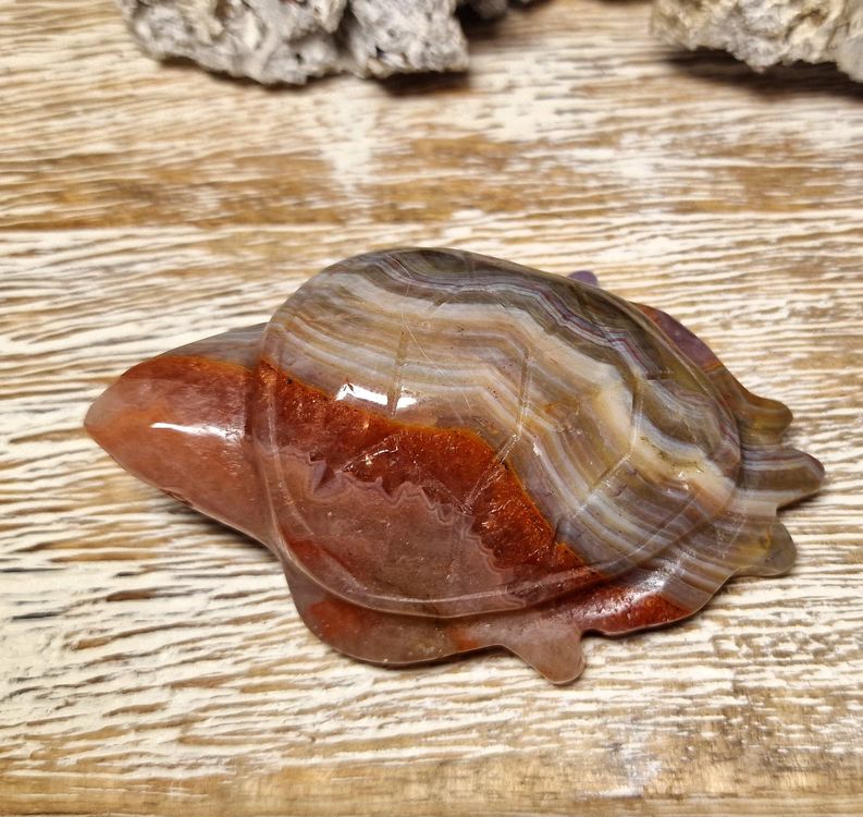 Mexikanische Achat Schildkröte 112g (Neu (gemäss Beschreibung)) in Matzingen für CHF 12 – mit ...