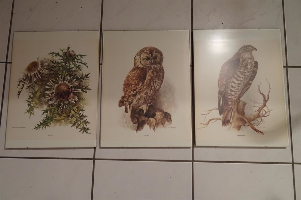 3 Bilder von Wilhelm Bühler mit Rahmen | Kaufen auf Ricardo