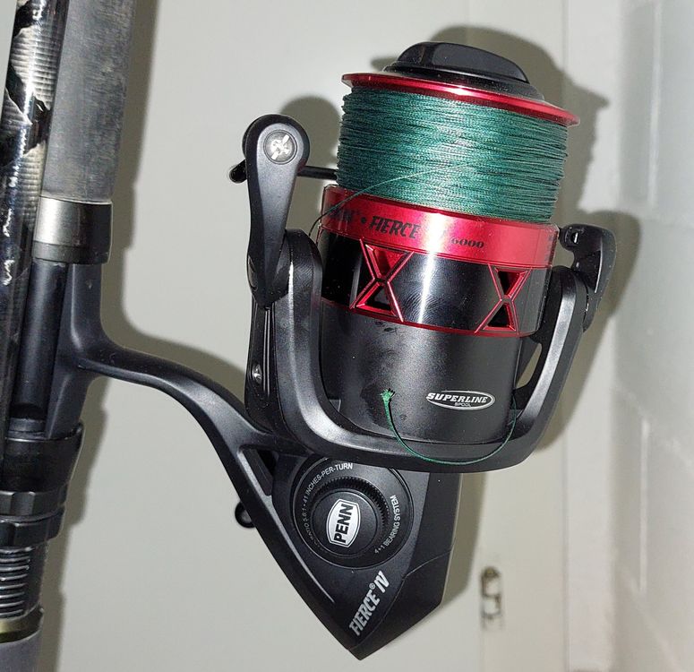 Wels - Hecht - Penn Fierce 6000 | Kaufen auf Ricardo