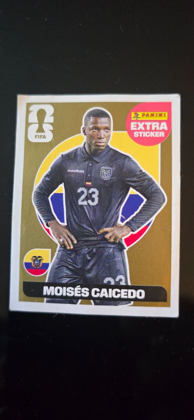 Panini GOLD Sticker WM 2026 Moisés Caicedo (Gebraucht) in Wallisellen ...