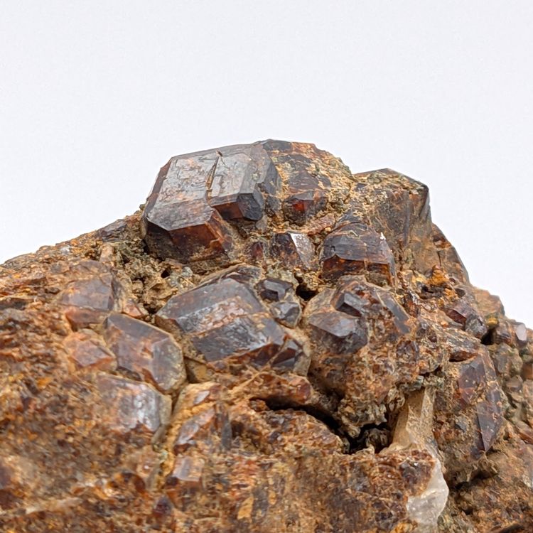 HESSONIT Roter GRANAT mit CLINOCHLOR, Italien (Nuovo (secondo la ...