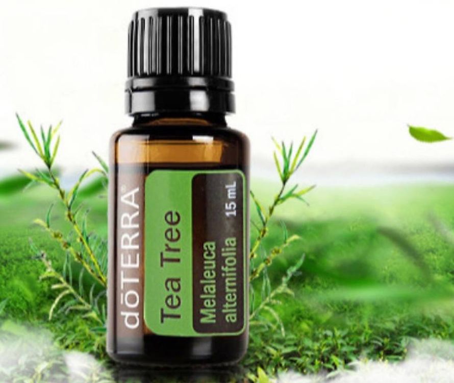 Olio essenziale Tea Tree (melaleuca) doterra | Kaufen auf Ricardo