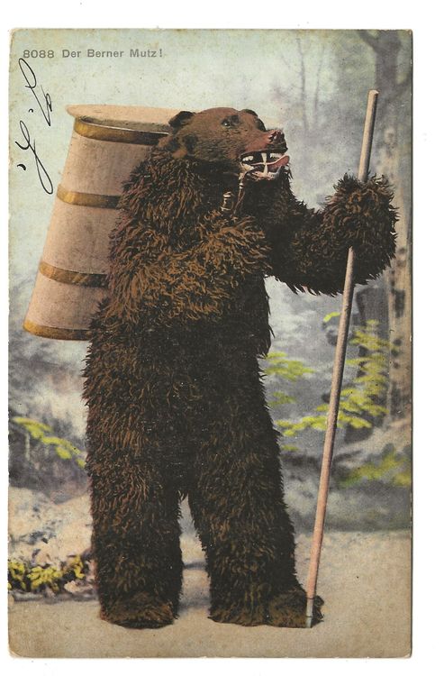 Bärenkarte - Der Berner Mutz - Bär trägt Milchtanse - 1912 (Gebraucht ...