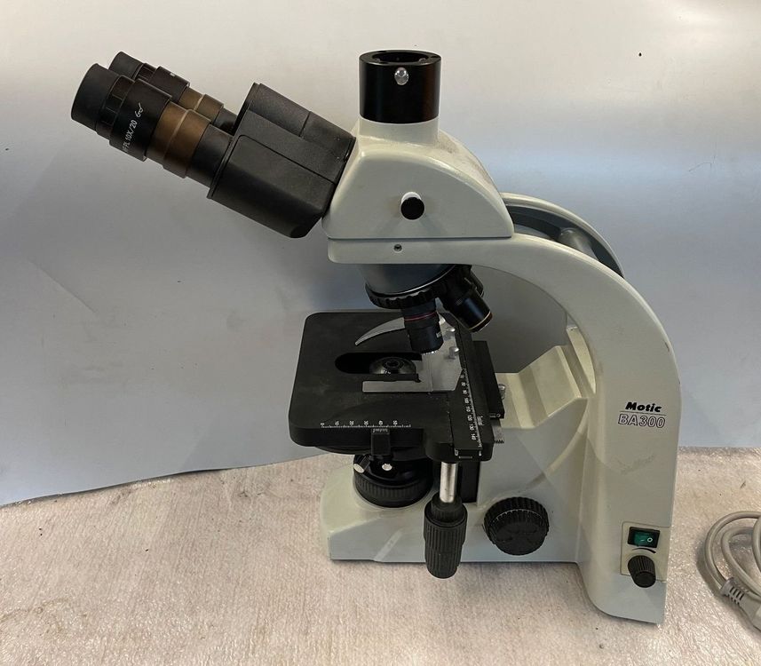 PRO LABO Mikroskope Microscope stéréo avec 2 Oculaires (Gebraucht) in ...