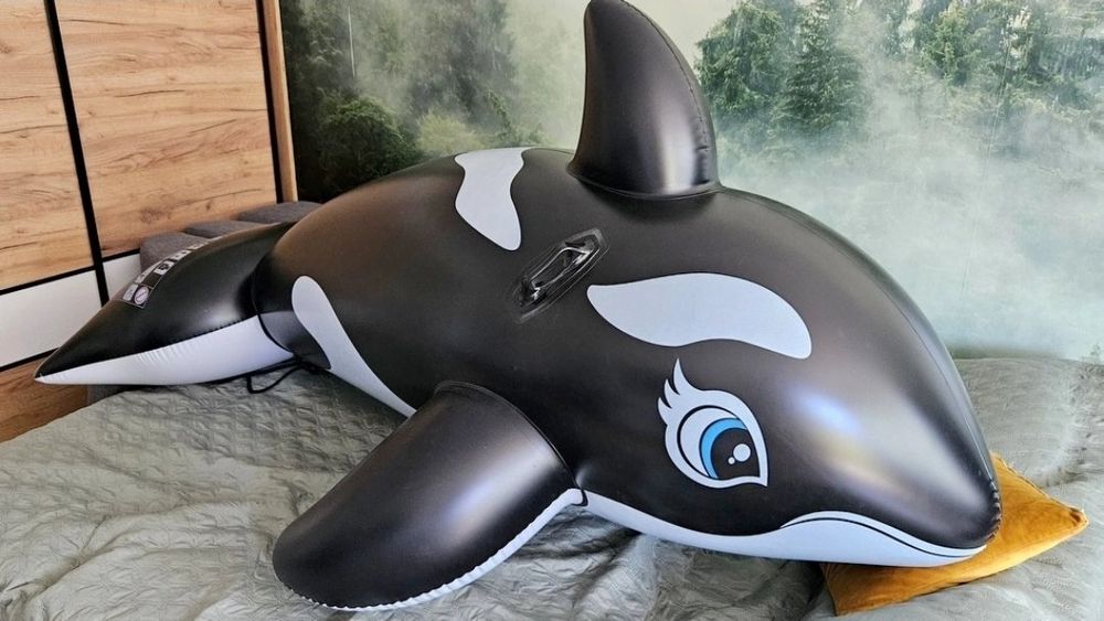 Intex Orca Ride-On aufblasbares Reittier, neue Edition (Neu und ...