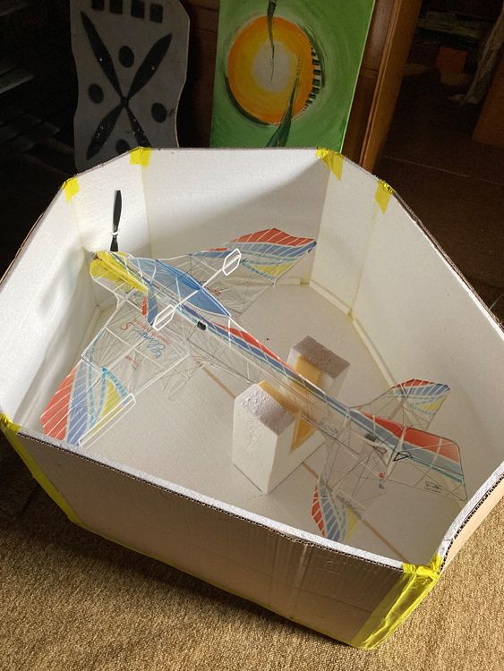 Indoor Slow Flyer Kunstflugmodell F3P Elanor von Alan RC Fly | Kaufen auf Ricardo