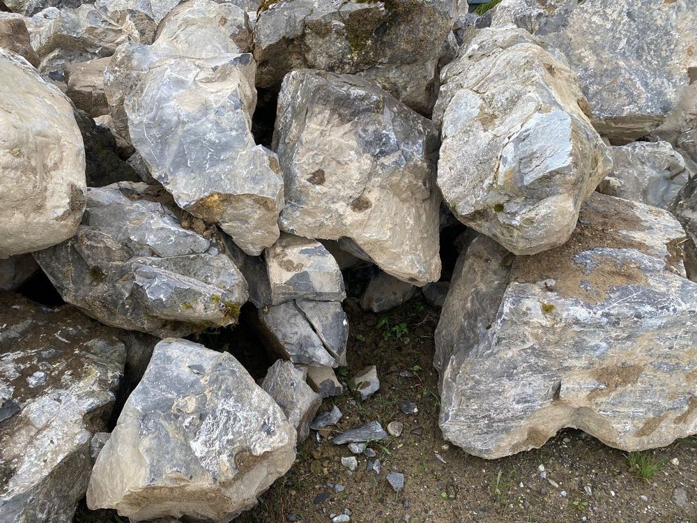 Steine Natursteine für Garten fels (Gebraucht) in Reinach AG für CHF 30 ...