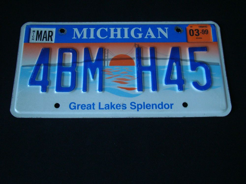 Michigan 4bm H45 Kaufen Auf Ricardo