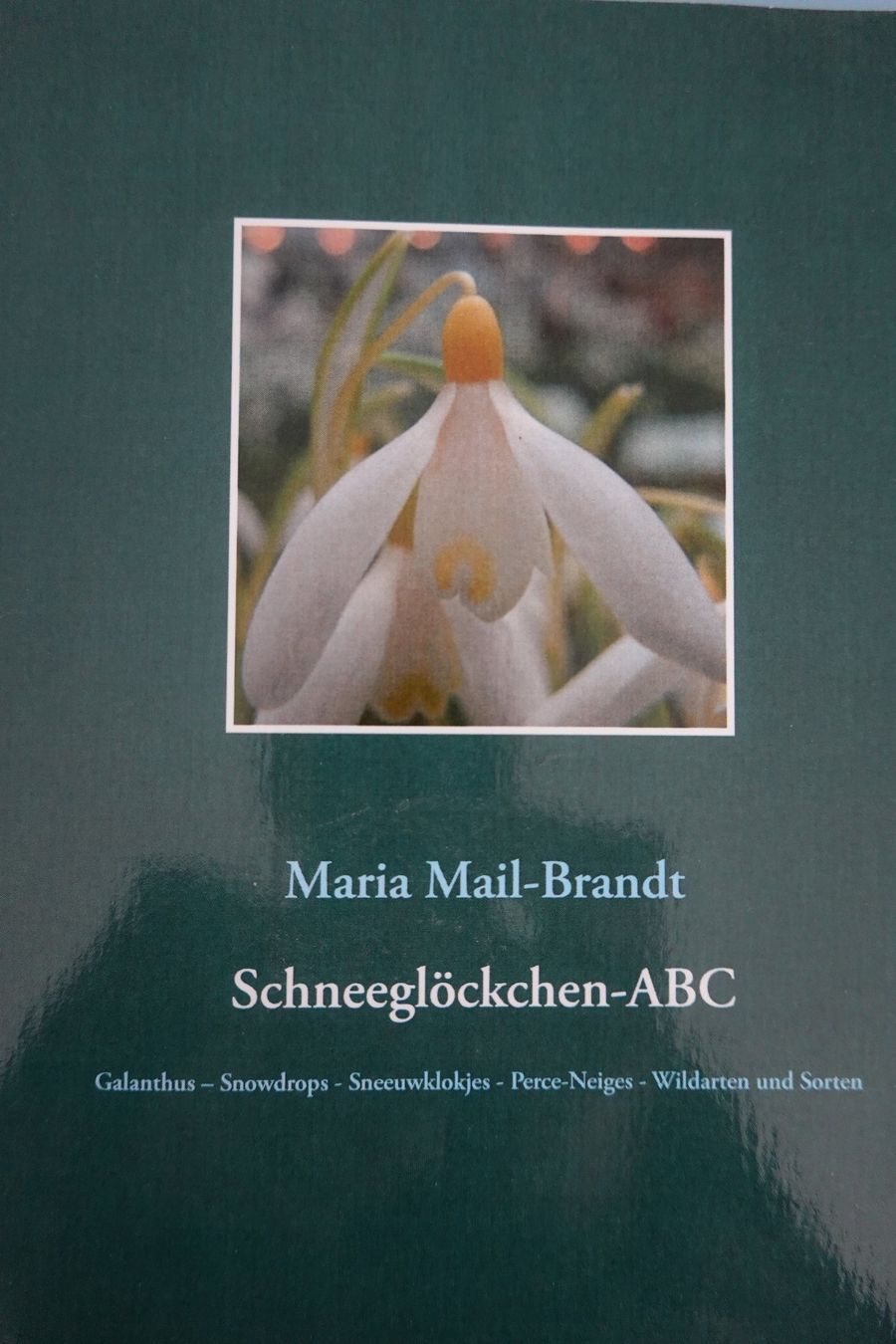 Maria Mail-Brandt: Schneeglöckchen-ABC Galanthus Verzeichnis (Neu ...