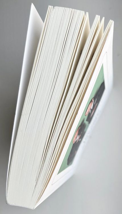 Alle sind so ernst geworden – Martin Suter/von Stuckrad –Top (Neu ...