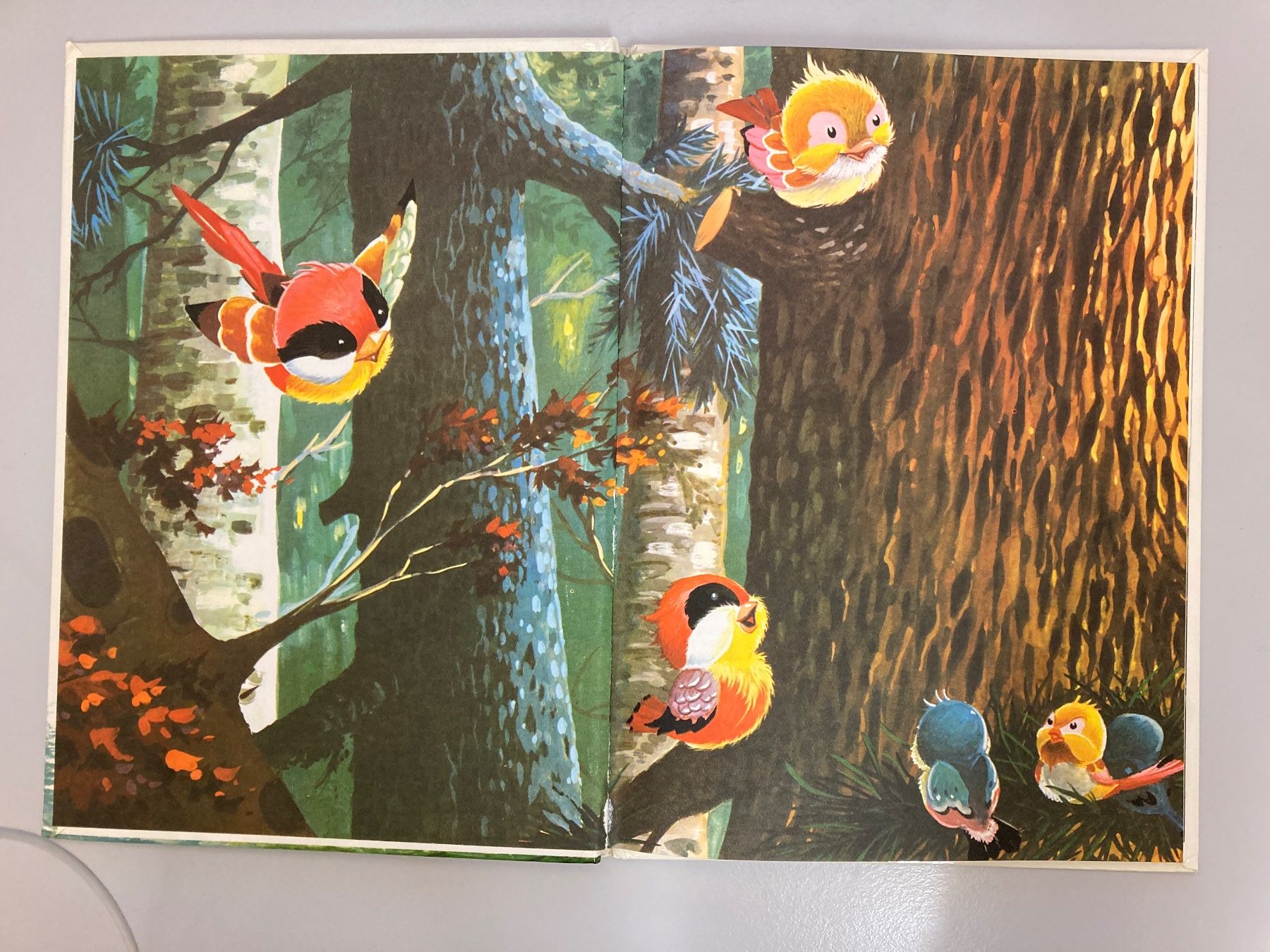 Pummel, der Bär - Kinderbuch-Klassiker - gebraucht (Gebraucht) in ...