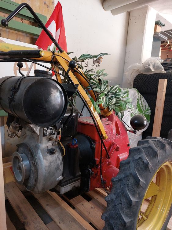 Motrac MKDZ Einachser mit Wagen (Gebraucht) in Ebikon für CHF 750 – nur Abholung auf Ricardo kaufen