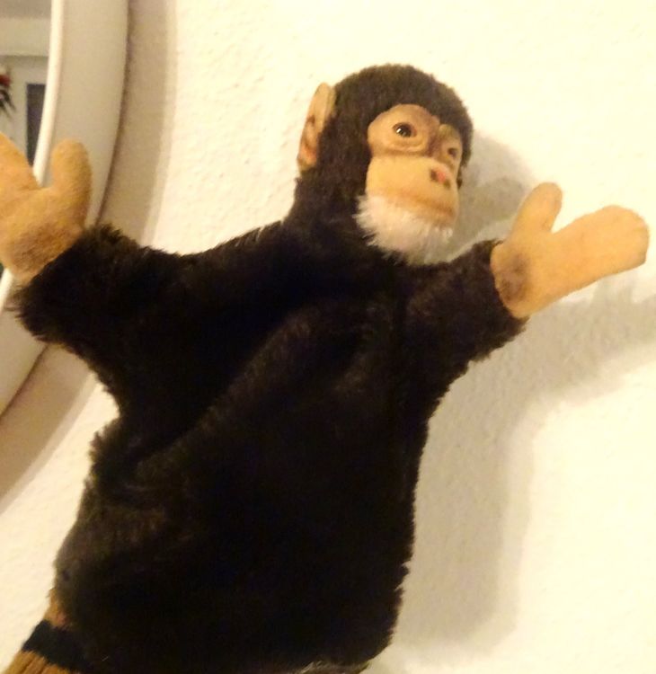 Antiker STEIFF Affe Jocko Handpuppe 1960 | Kaufen auf Ricardo
