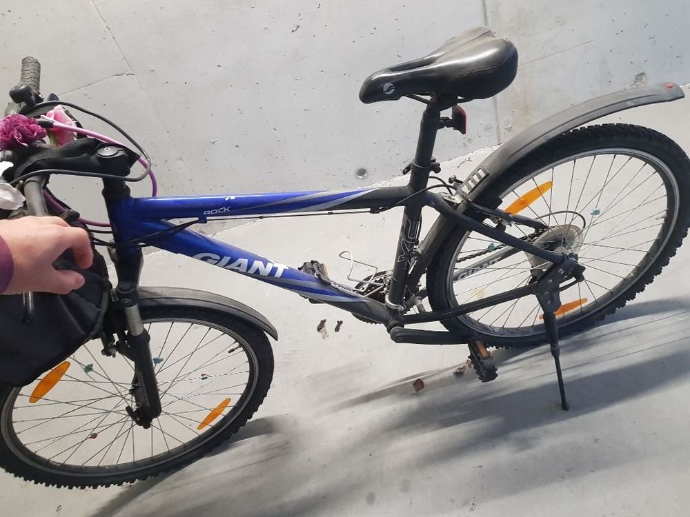 Kinderfahrrad Giant XC | Kaufen auf Ricardo