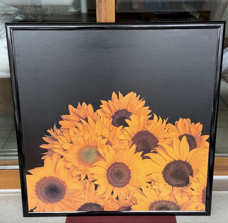 Blumenbild mit Scharzen Alurahmen (Gebraucht) in Elgg für CHF 50 – nur Abholung auf Ricardo kaufen