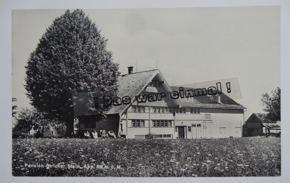 Appenzell Stein Pension Stricker anno dazumal | Kaufen auf Ricardo