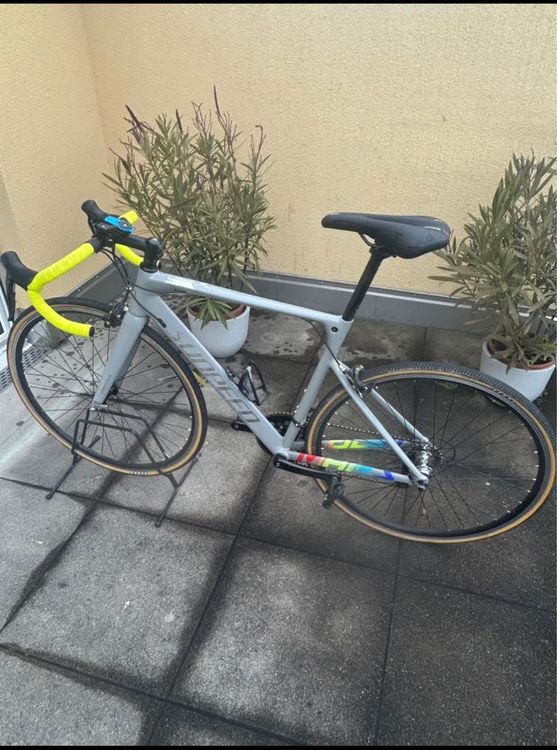 Altimani Road/Gravel Bike (Gebraucht) in Basel für CHF 750 – nur ...